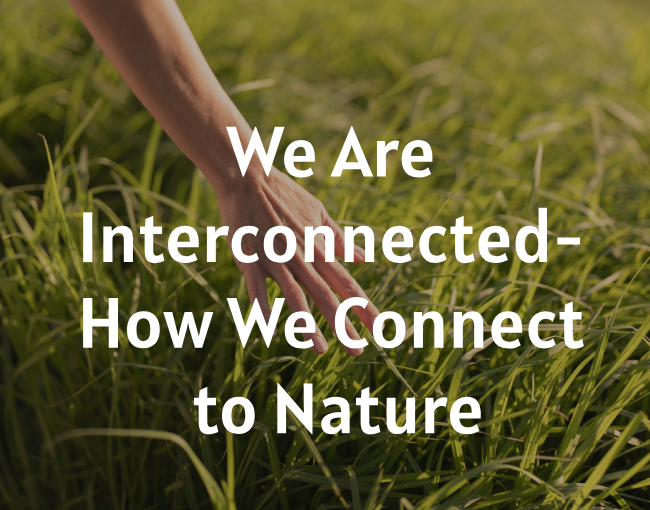Interconnection- How we Connect to Nature | SpiritualBlossom