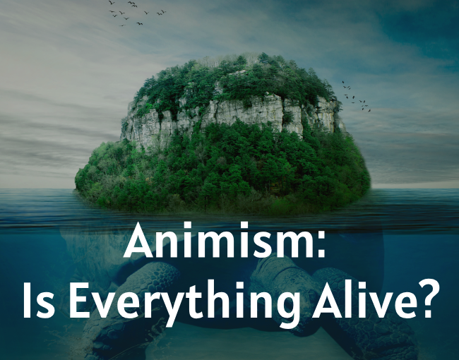 Animism: Is Everything Alive? | SpiritualBlossom