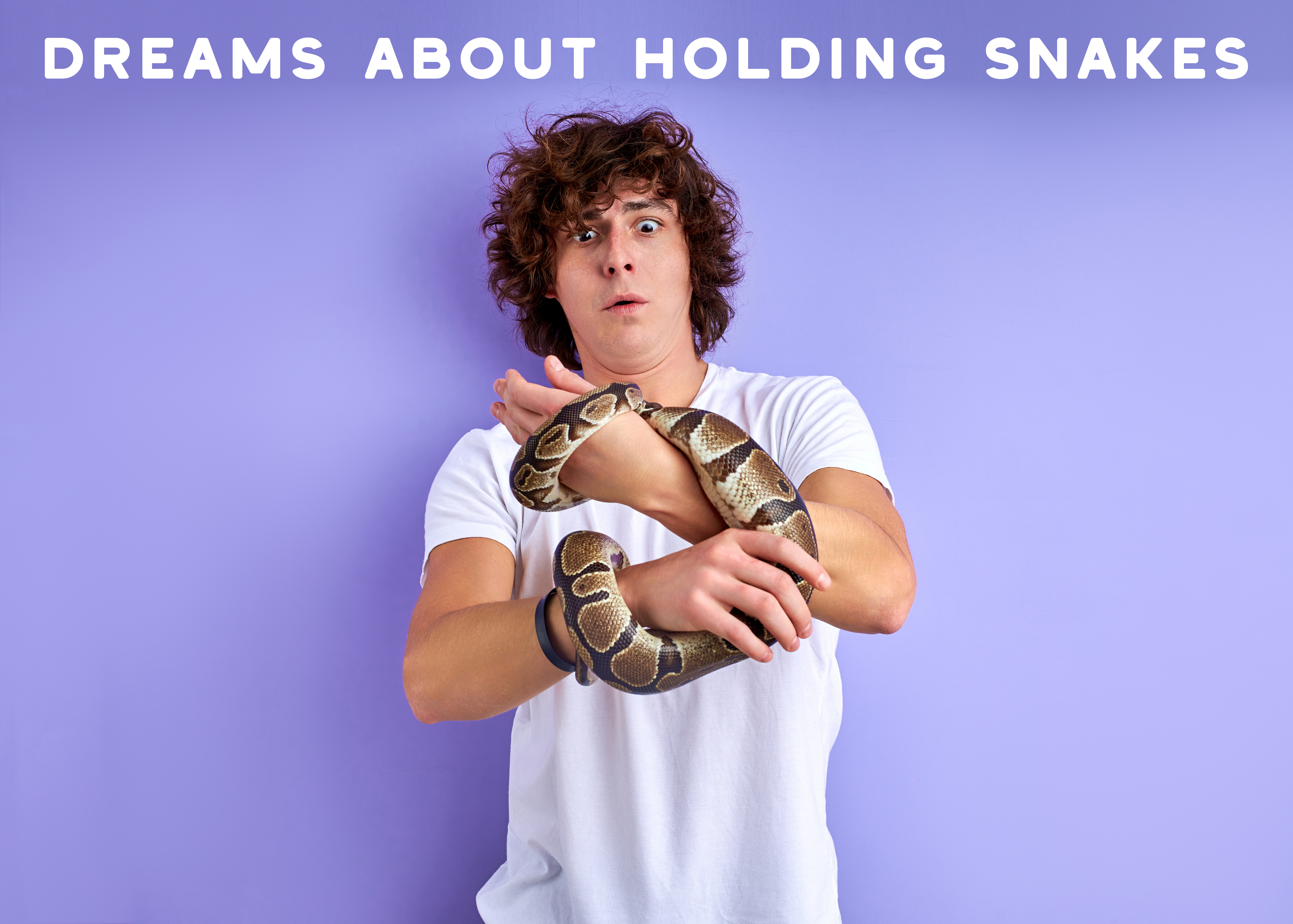 Dreaming of Snakes - Meaning and Symbolism | SpiritualBlossom