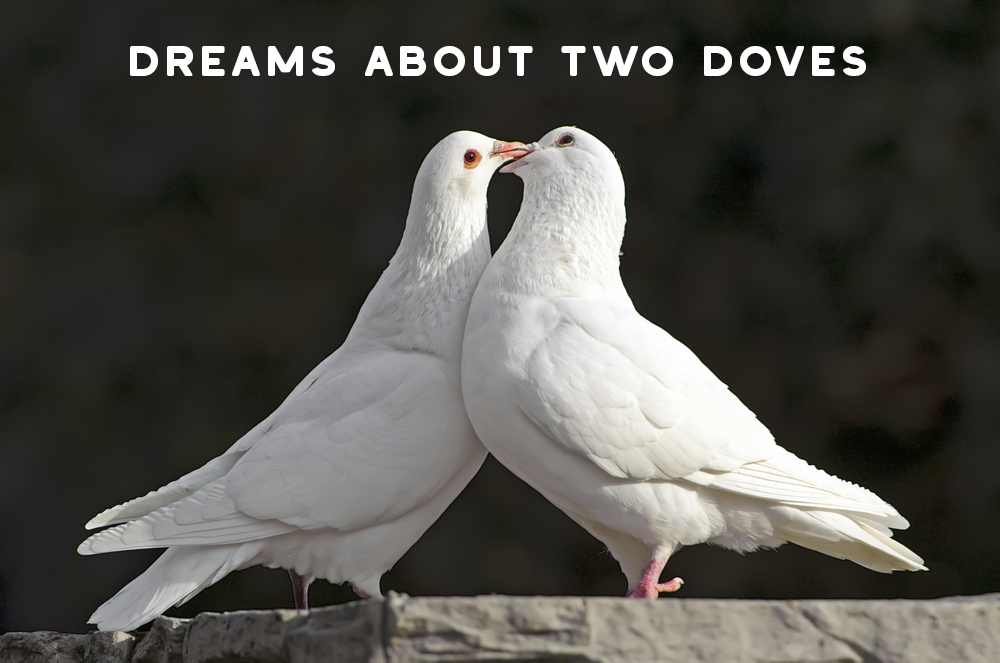 Dove Spiritual Meaning, Lore, and Symbolism | SpiritualBlossom